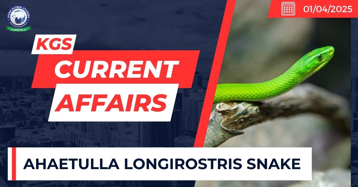 Ahaetulla Longirostris Snake - UPSC Current Affairs 2025